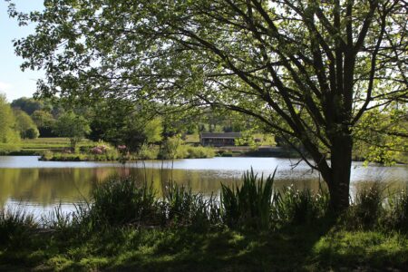 Blake Hall Fisheries - Fisheries.co.uk