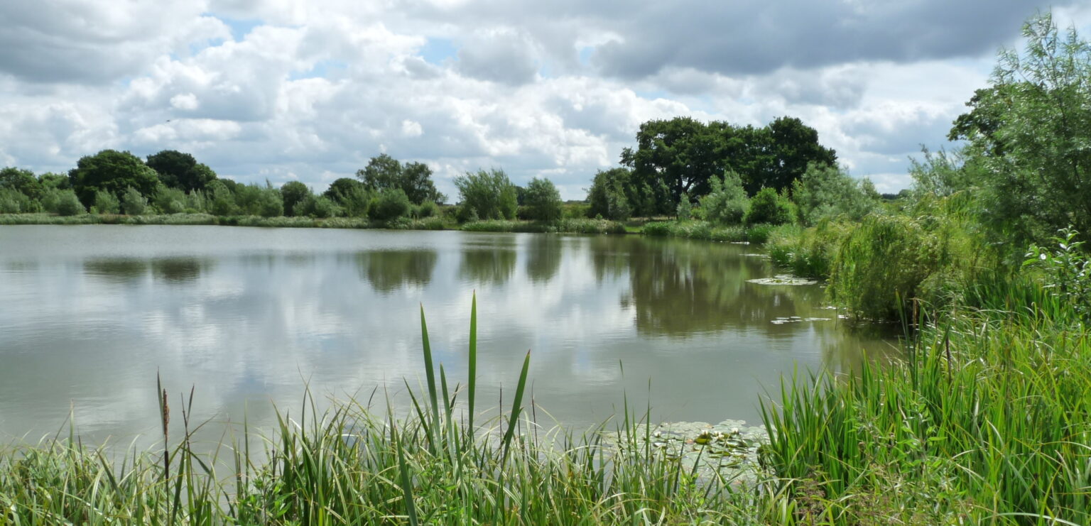 Coppice Lane Pools - Fisheries.co.uk