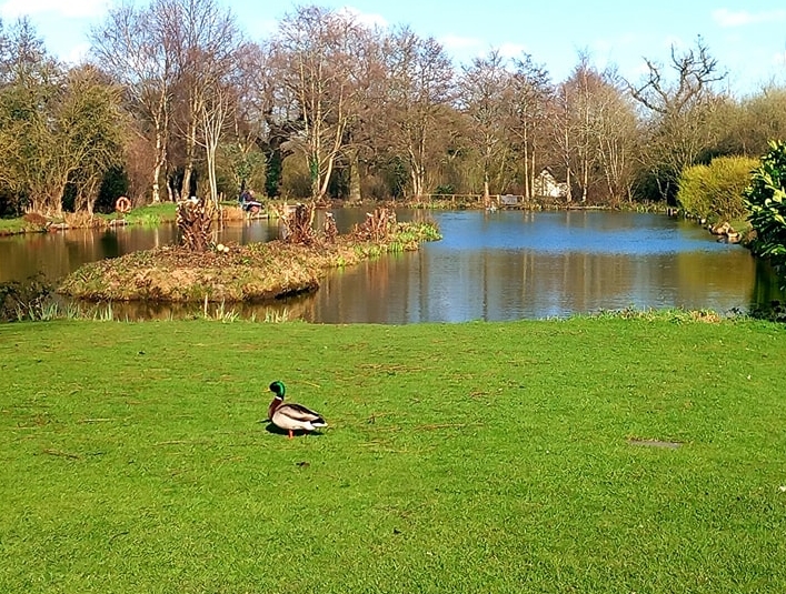 Coppice Lane Pools - Fisheries.co.uk