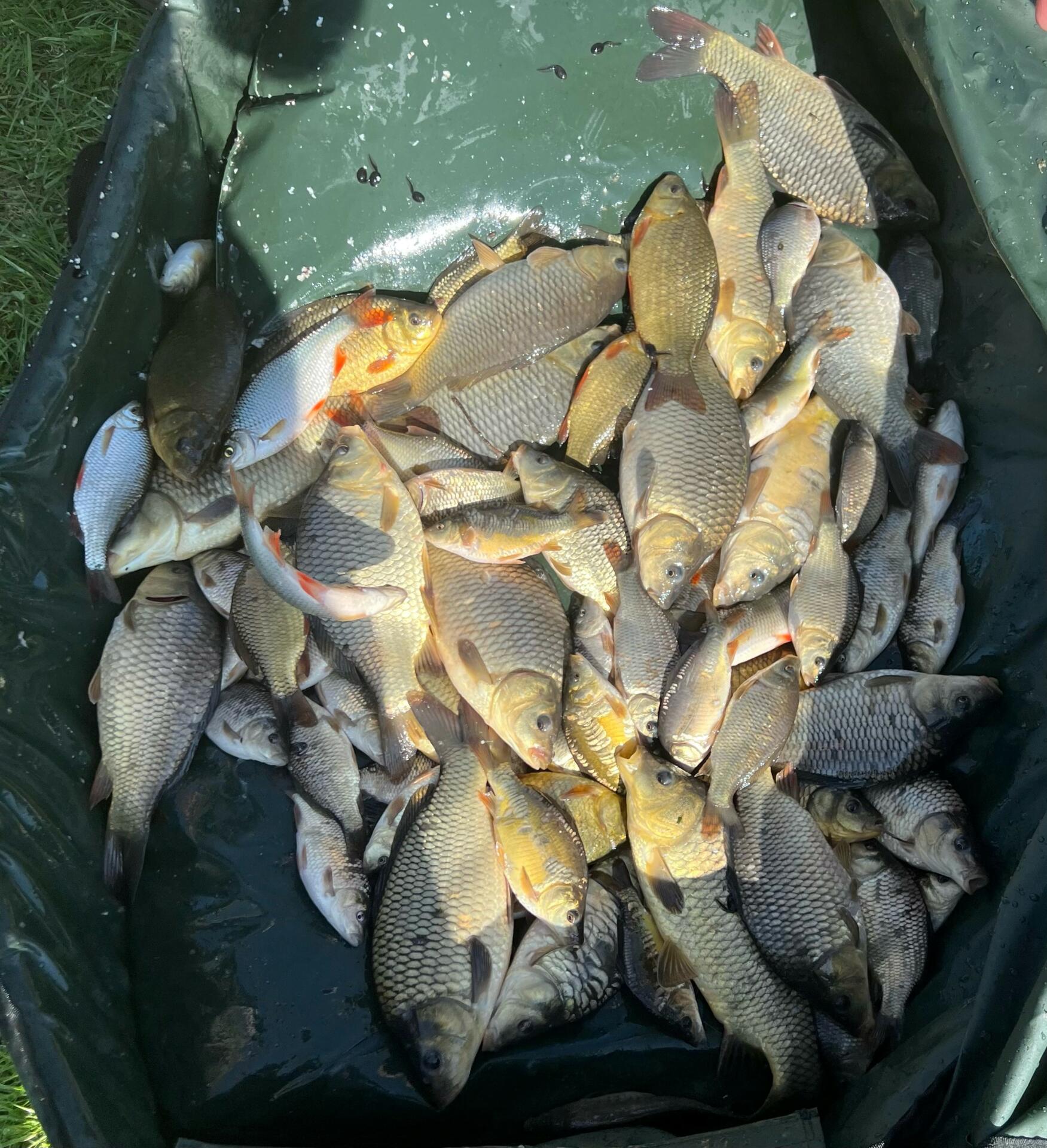 Spring Rock Fishery - Fisheries.co.uk