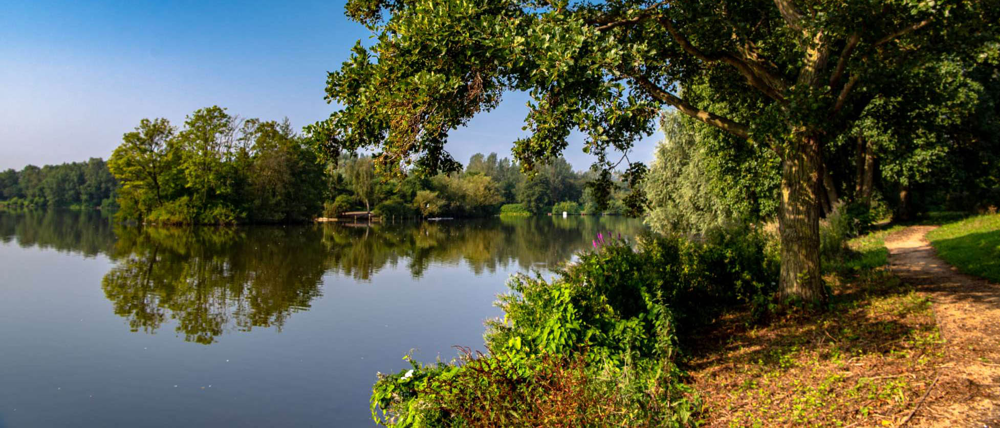 Arrow Valley Lake - Fisheries.co.uk