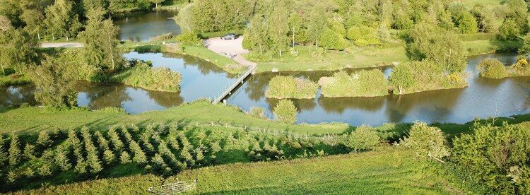 Hampton Springs Fishery - Fisheries.co.uk