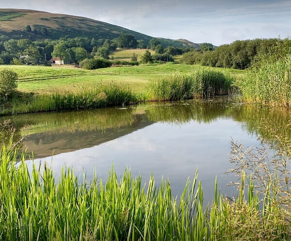 Wales - Fisheries.co.uk