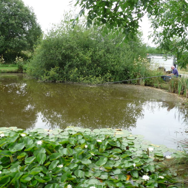 Rosefern Pool - Fisheries.co.uk