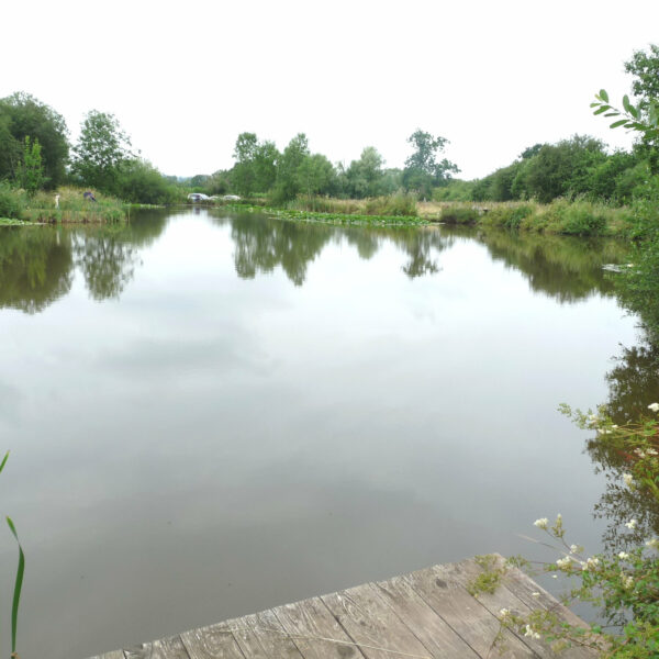 Rosefern Pool - Fisheries.co.uk