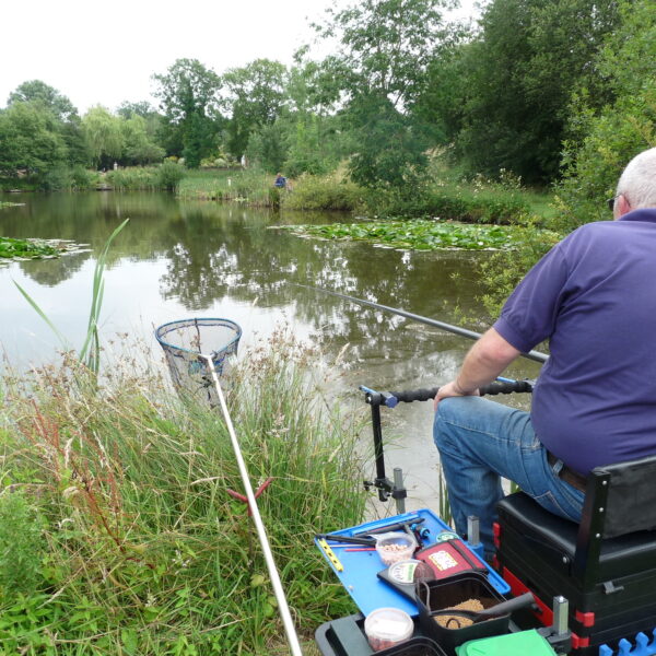Rosefern Pool - Fisheries.co.uk