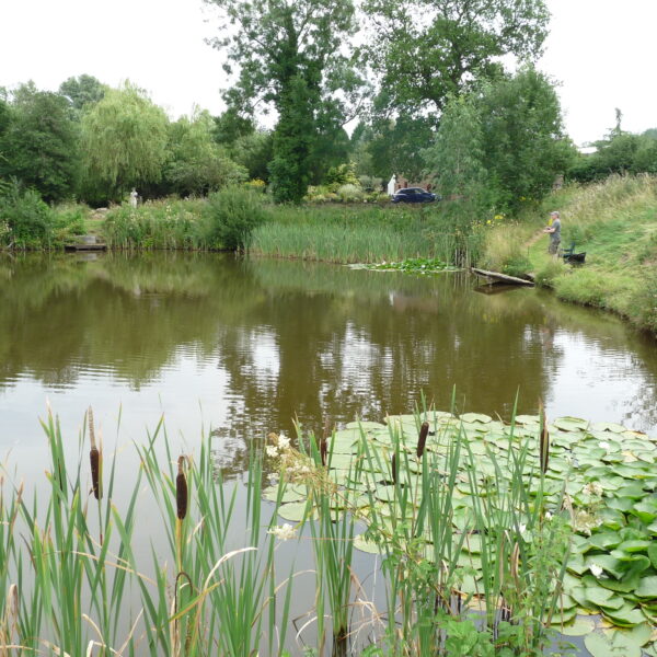 Rosefern Pool - Fisheries.co.uk