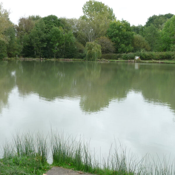 Fisheries and Fishing in Leicestershire - Fisheries.co.uk