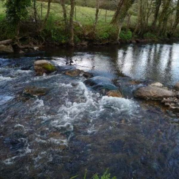 Yeo Farm fishing and holidays - Fisheries.co.uk