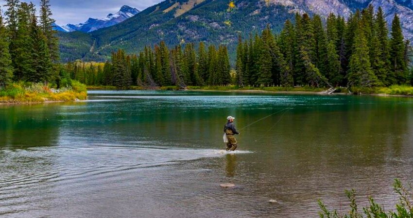 A guide to fisheries and fishing - Fisheries.co.uk