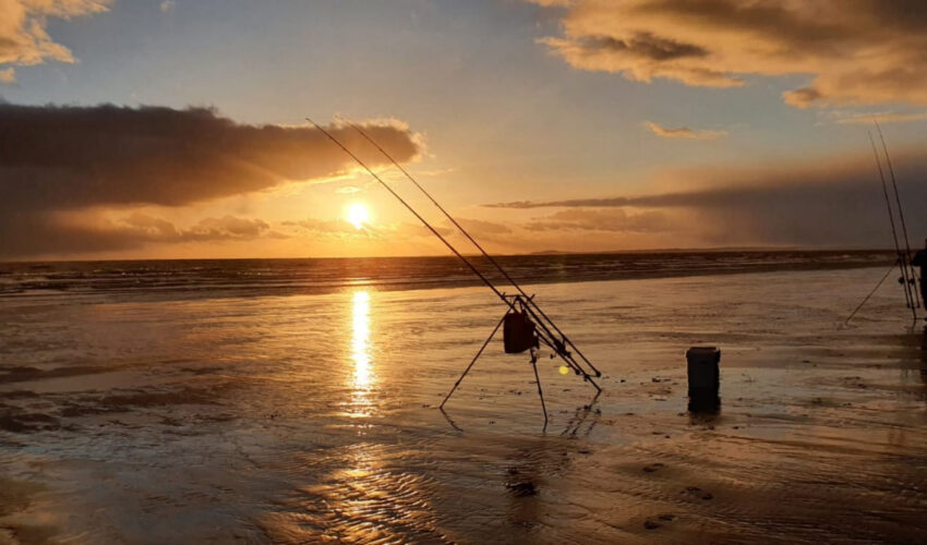 A guide to fisheries and fishing - Fisheries.co.uk