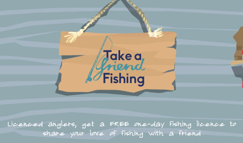 How to get your tackle in order this Spring - Fisheries.co.uk