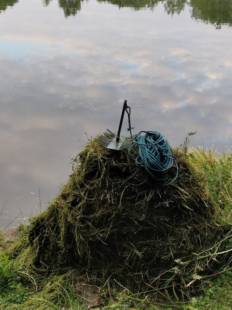It's time for fishery owners to spring into action! - Fisheries.co.uk