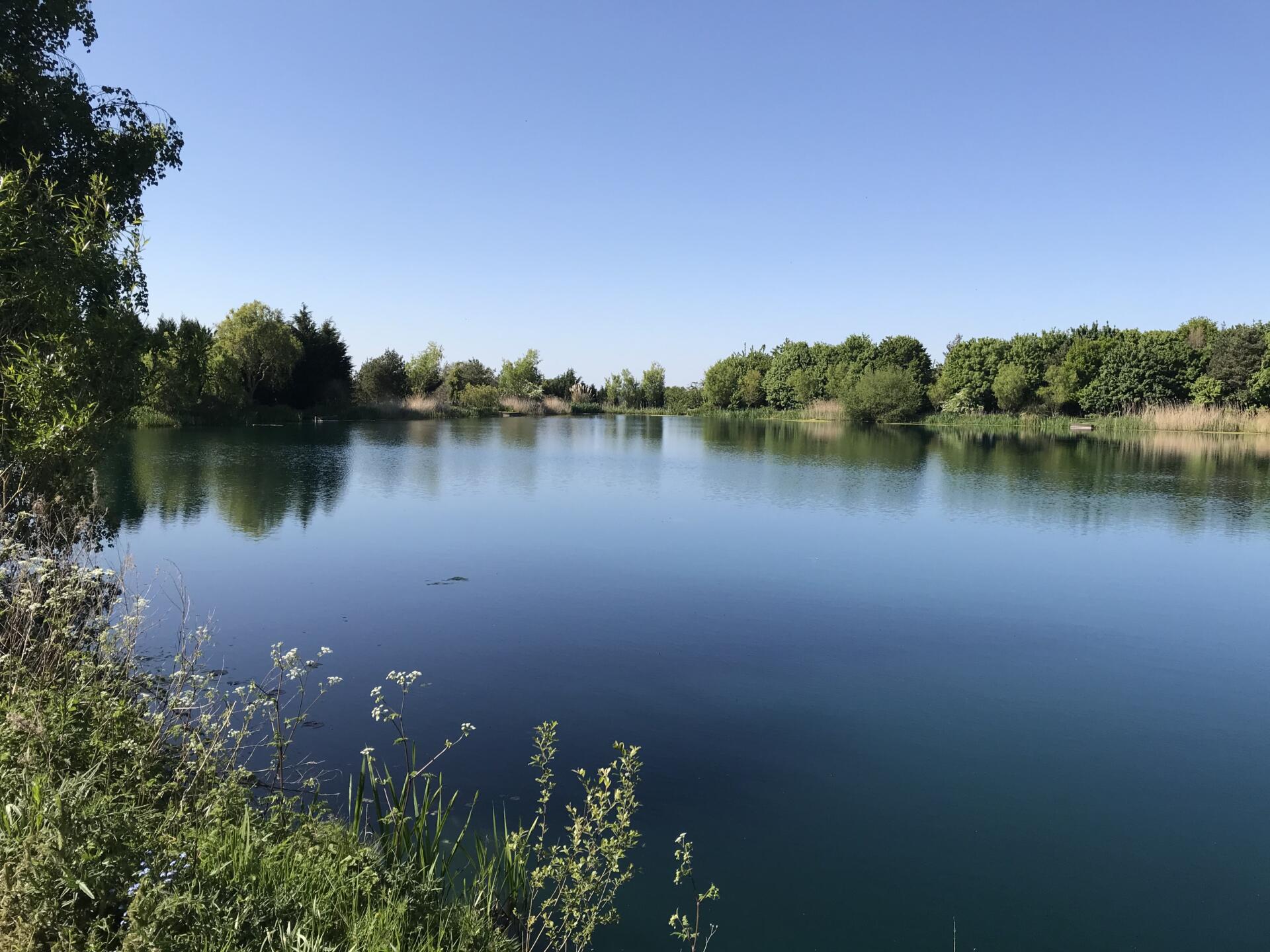 Field Aston Reservoir - Fisheries.co.uk