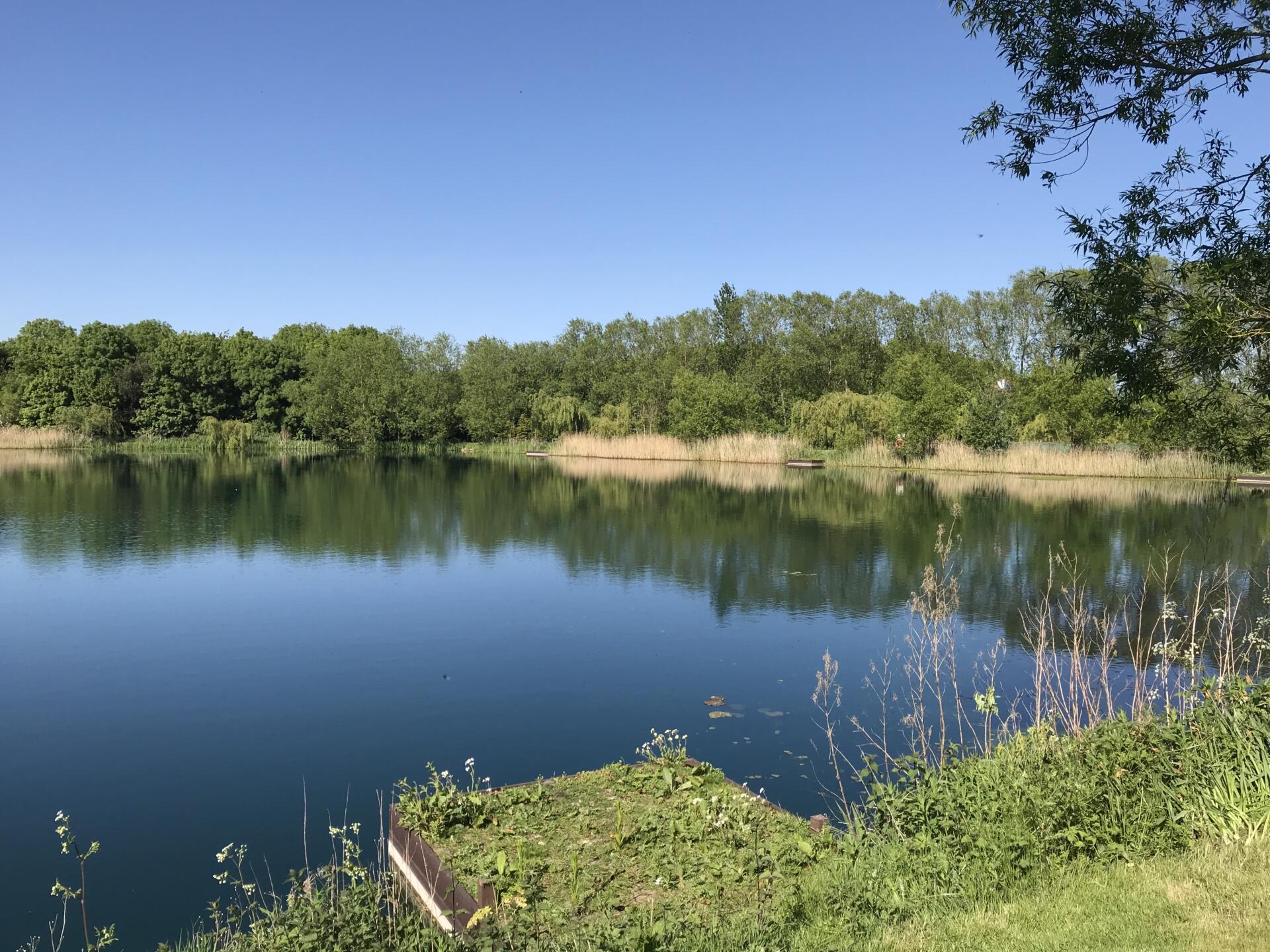 Field Aston Reservoir - Fisheries.co.uk