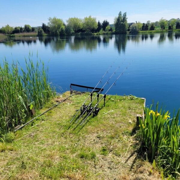 Field Aston Reservoir - Fisheries.co.uk