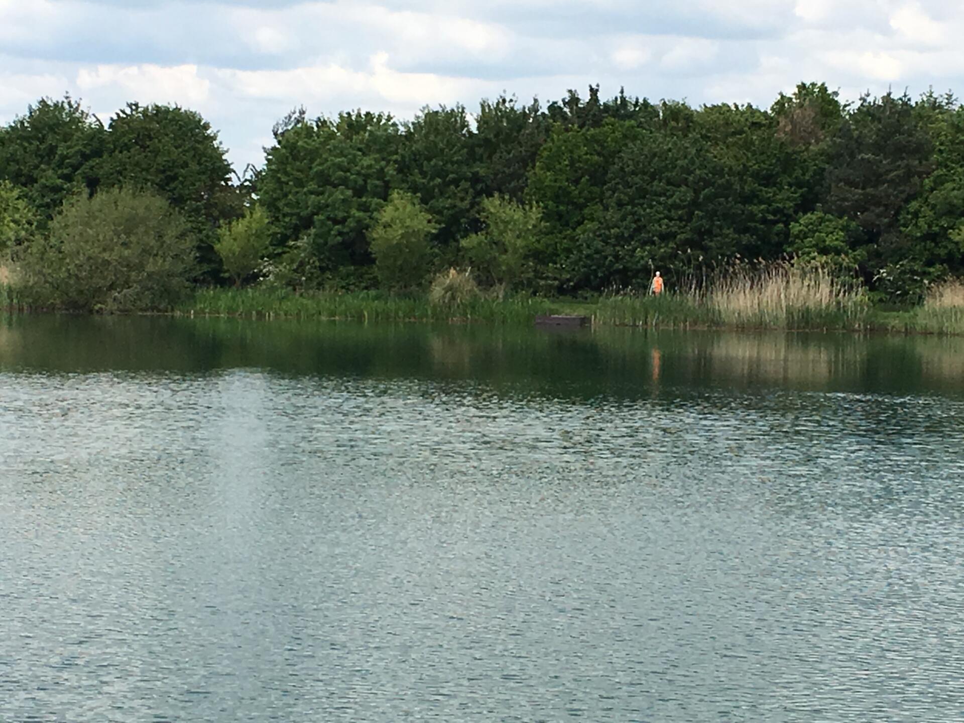 Field Aston Reservoir - Fisheries.co.uk
