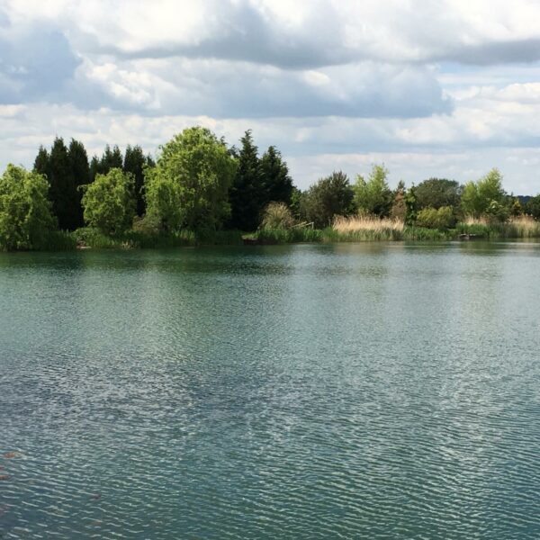 Field Aston Reservoir - Fisheries.co.uk