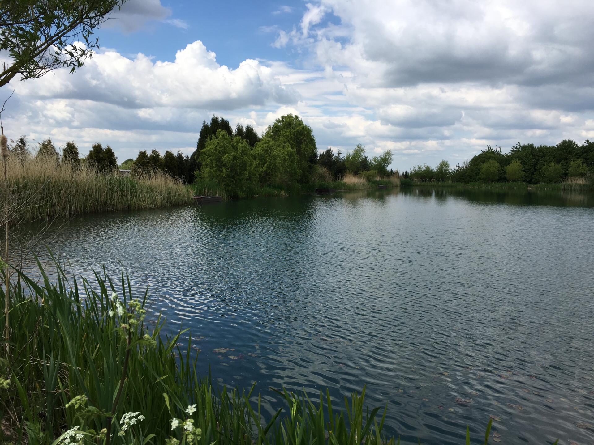 Field Aston Reservoir - Fisheries.co.uk