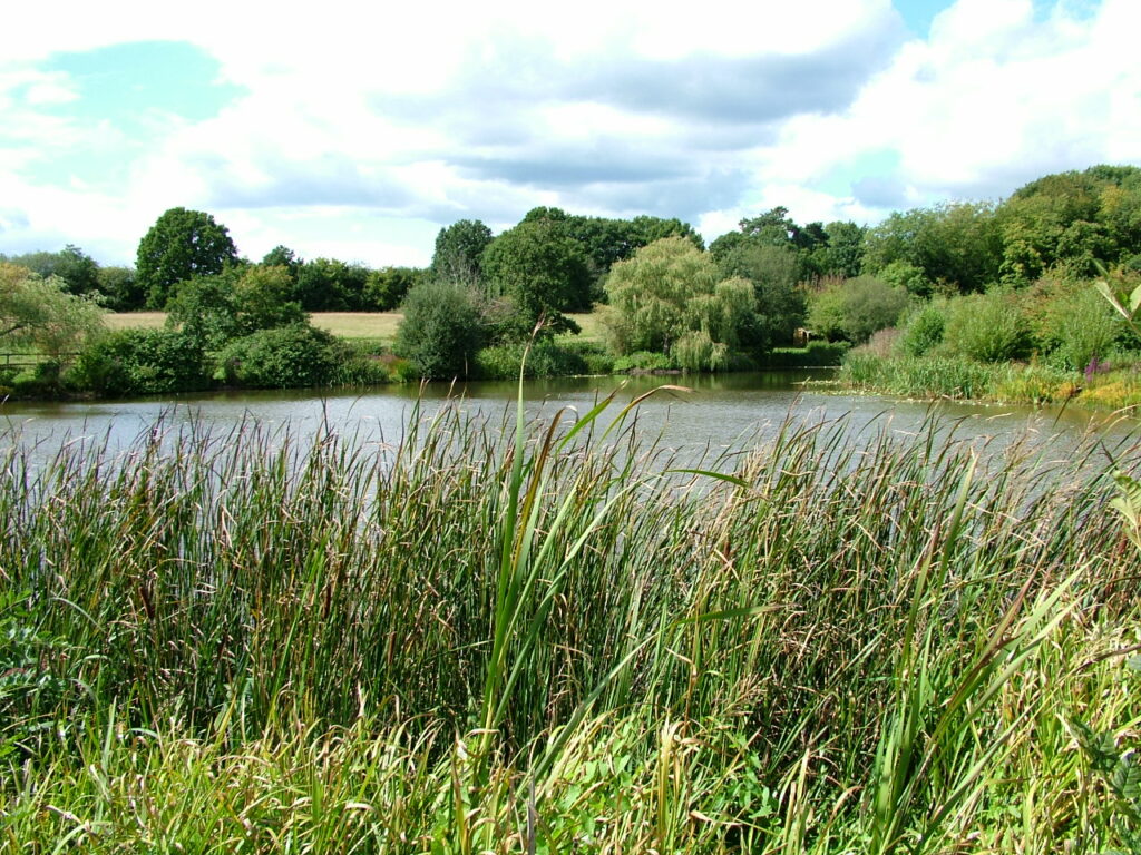 It's time for fishery owners to spring into action! - Fisheries.co.uk