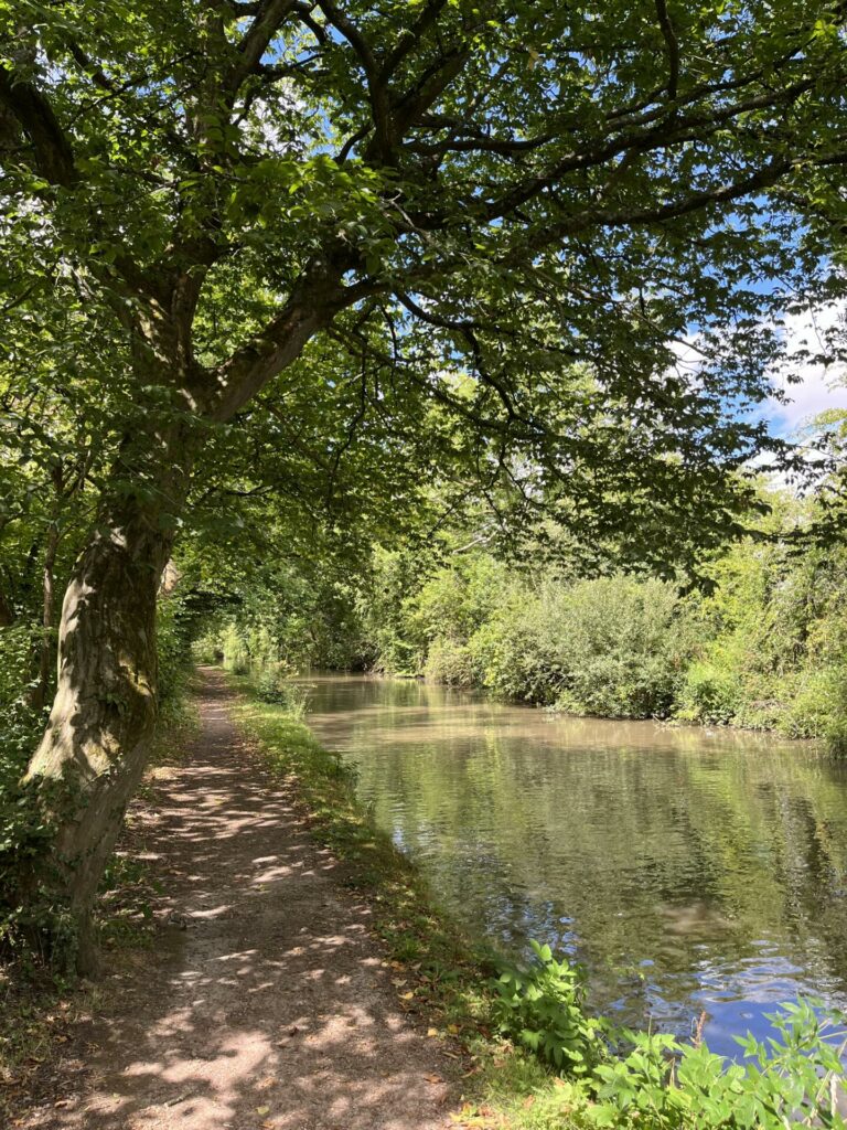 Canal fishing - our guide to getting started - Fisheries.co.uk