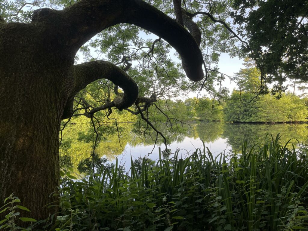 A guide to Lake Fishing - Fisheries.co.uk