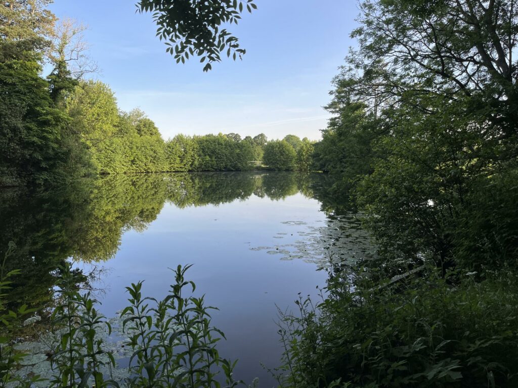 A guide to Lake Fishing - Fisheries.co.uk