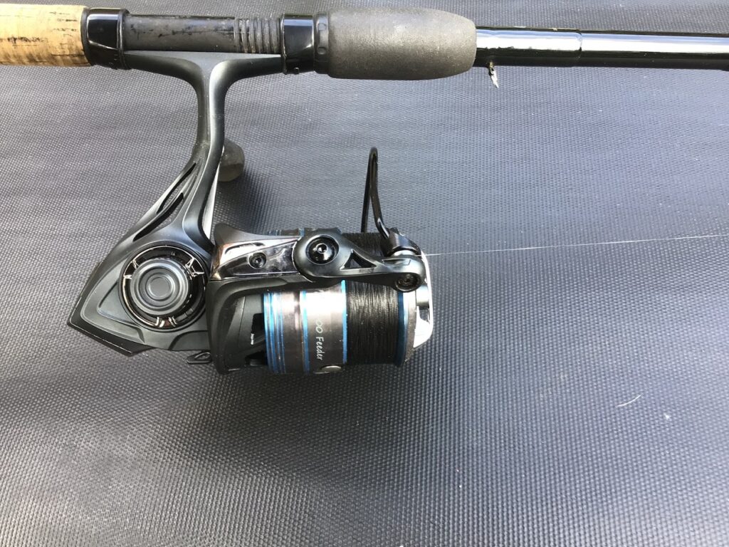 Feeder Fishing - part 2 in our guide to getting started - Fisheries.co.uk