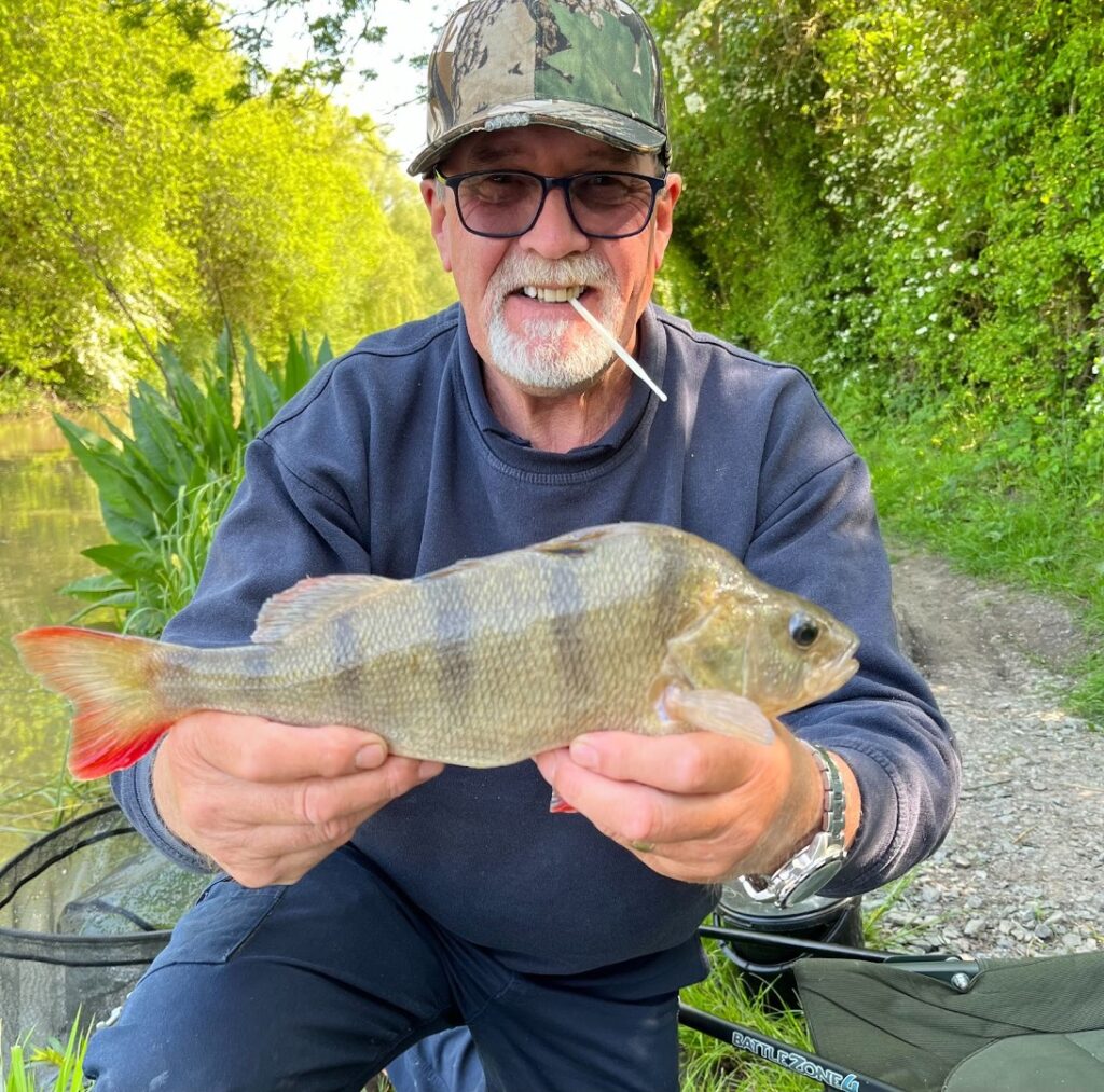 Fishing for Perch - Fisheries.co.uk