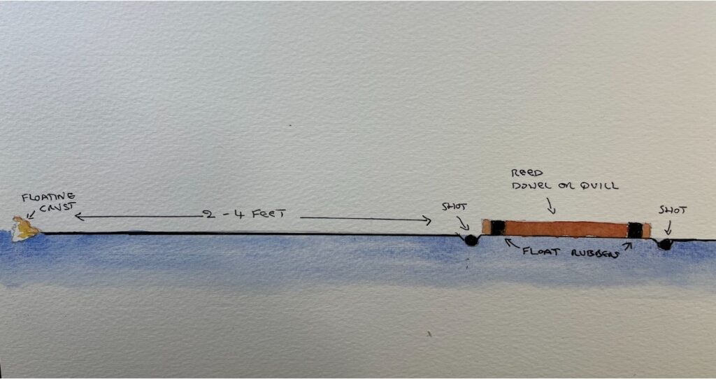 Species spotlight - fishing for Rudd - Fisheries.co.uk