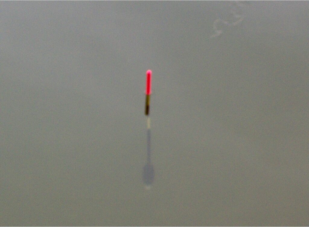 Fishing using a sliding float - Fisheries.co.uk