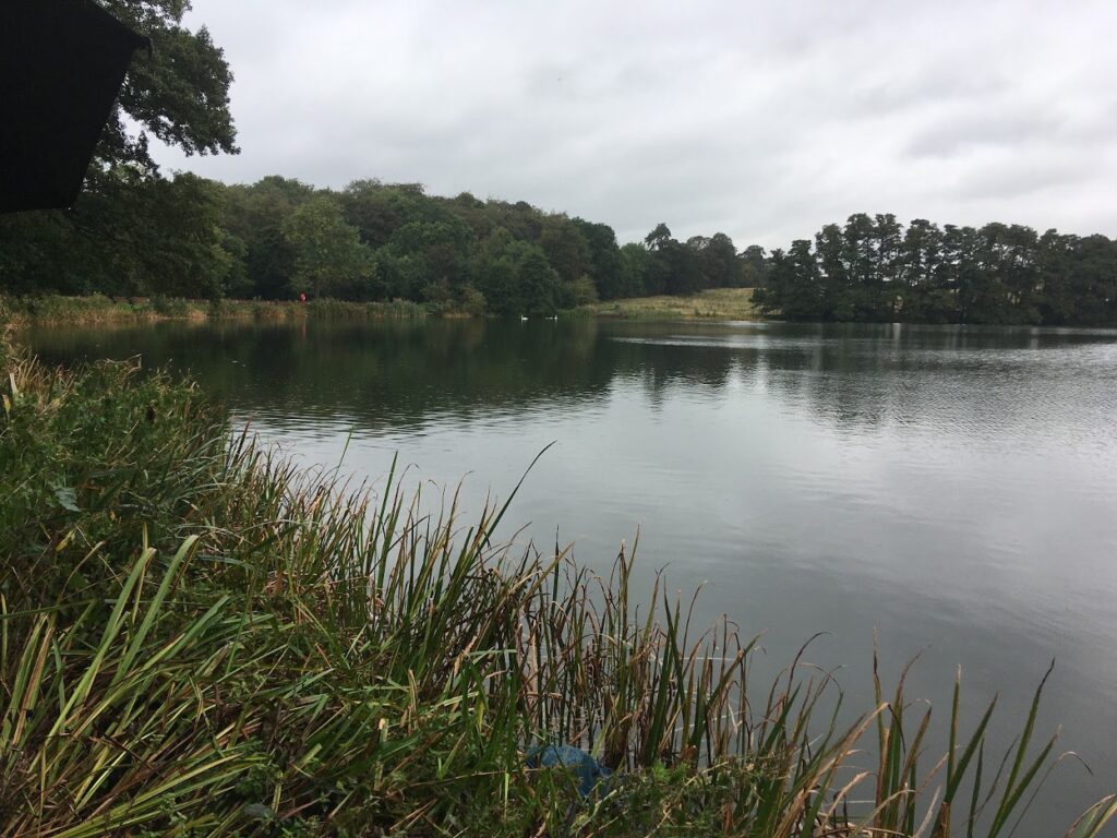 Fishing using a sliding float - Fisheries.co.uk