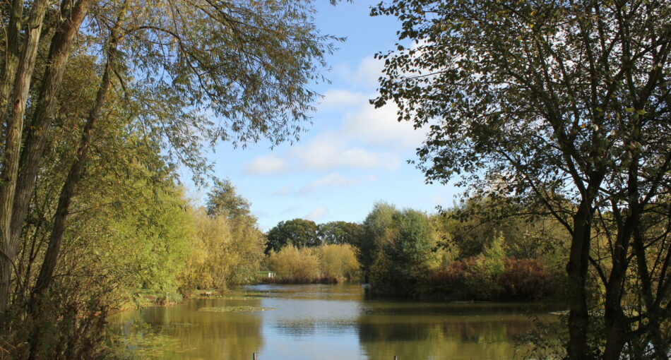 Cobbleacre Park Lakes | Fisheries.co.uk