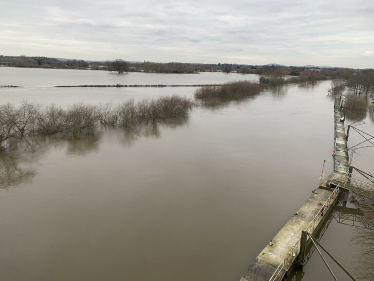 What happens to fish in severe floods? - Fisheries.co.uk