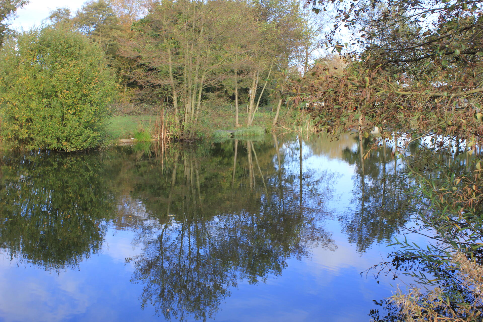 Cobbleacre Park Lakes | Fisheries.co.uk