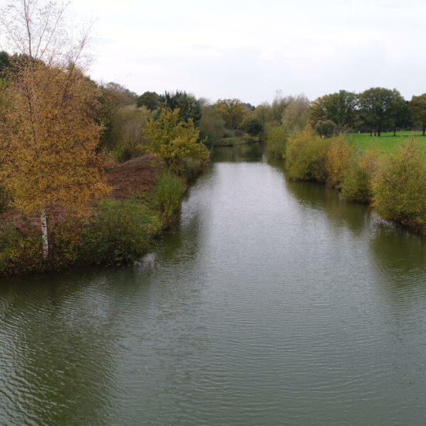 Cobbleacre Park Lakes - Fisheries.co.uk