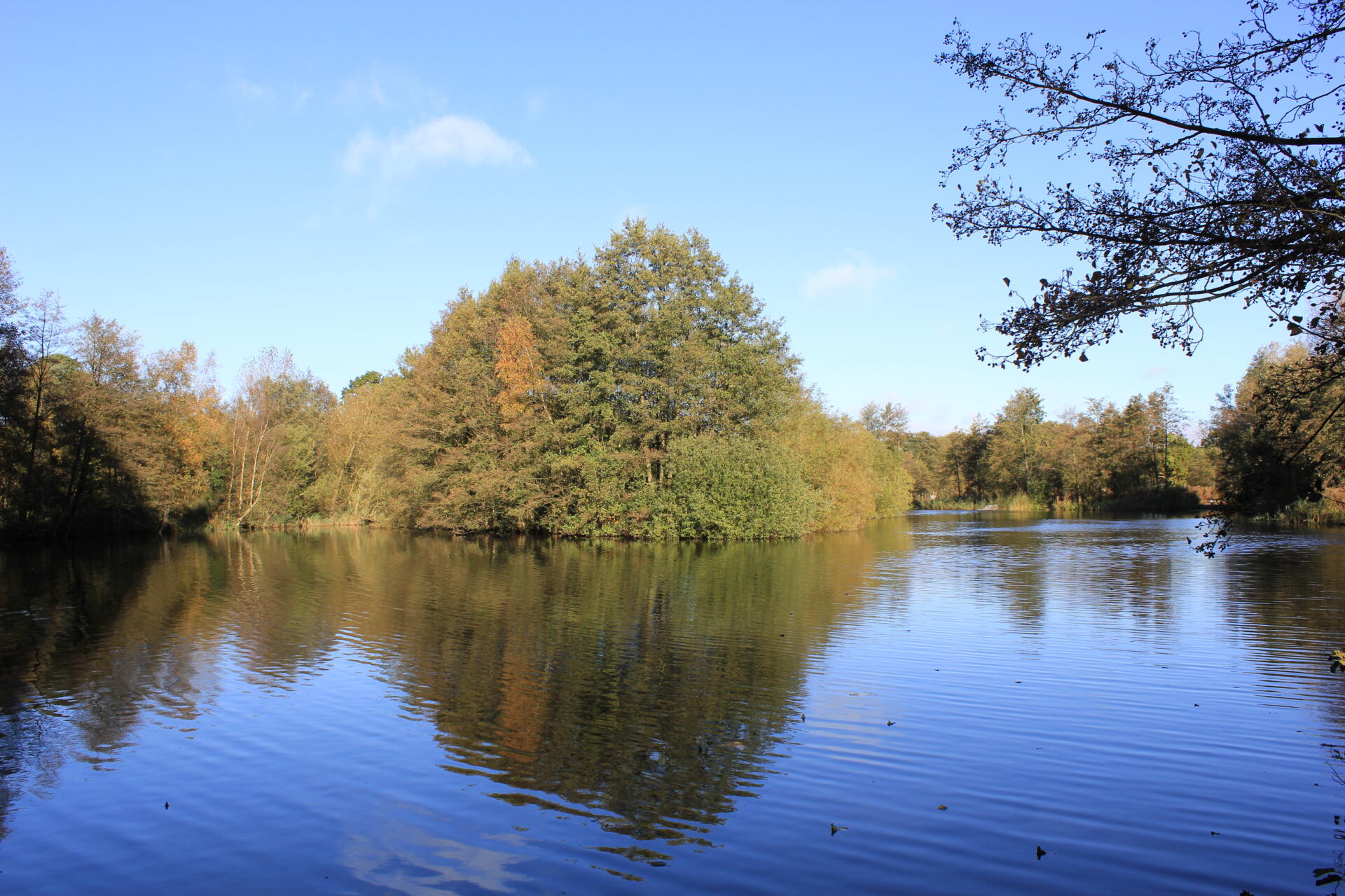 Cobbleacre Park Lakes | Fisheries.co.uk