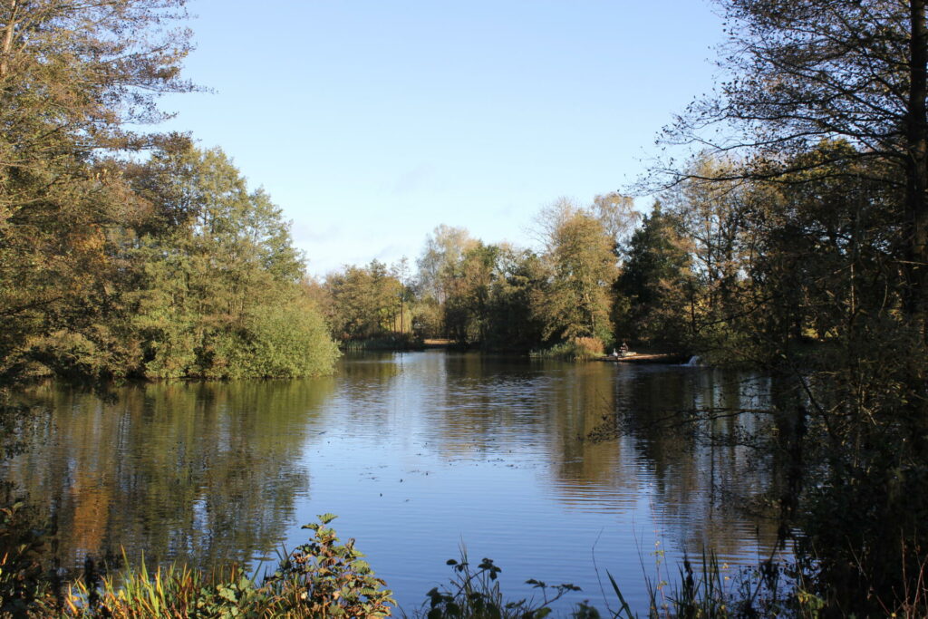 Cobbleacre Park Lakes - Fisheries.co.uk