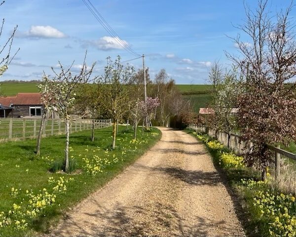 Cuckoo Barn Lodge near Rutland Water - Fisheries.co.uk