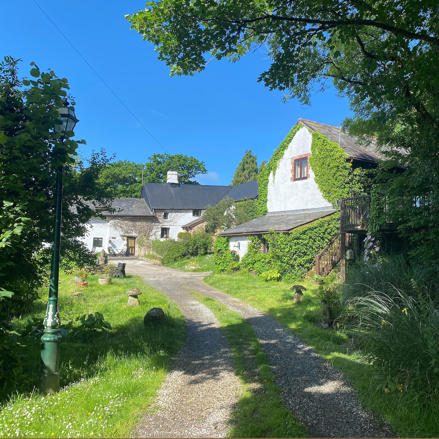 South Reed Farm - Fisheries.co.uk
