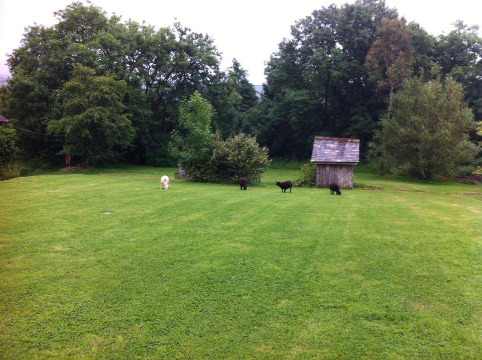 South Reed Farm - Fisheries.co.uk