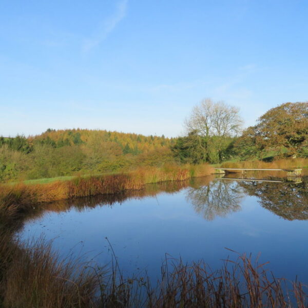 Beaples Barton Holiday Cottages - Fisheries.co.uk