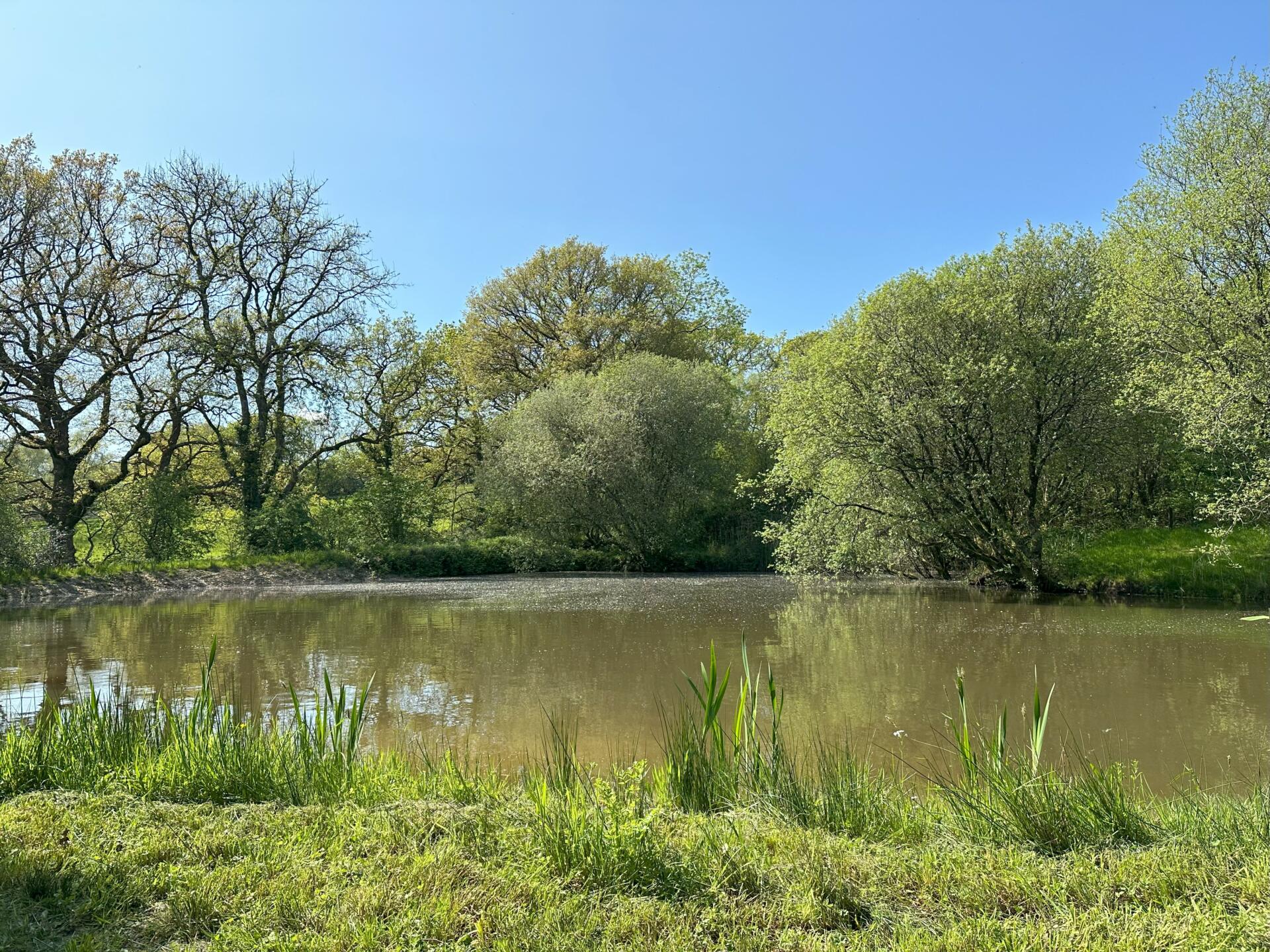 South Reed Farm - Fisheries.co.uk