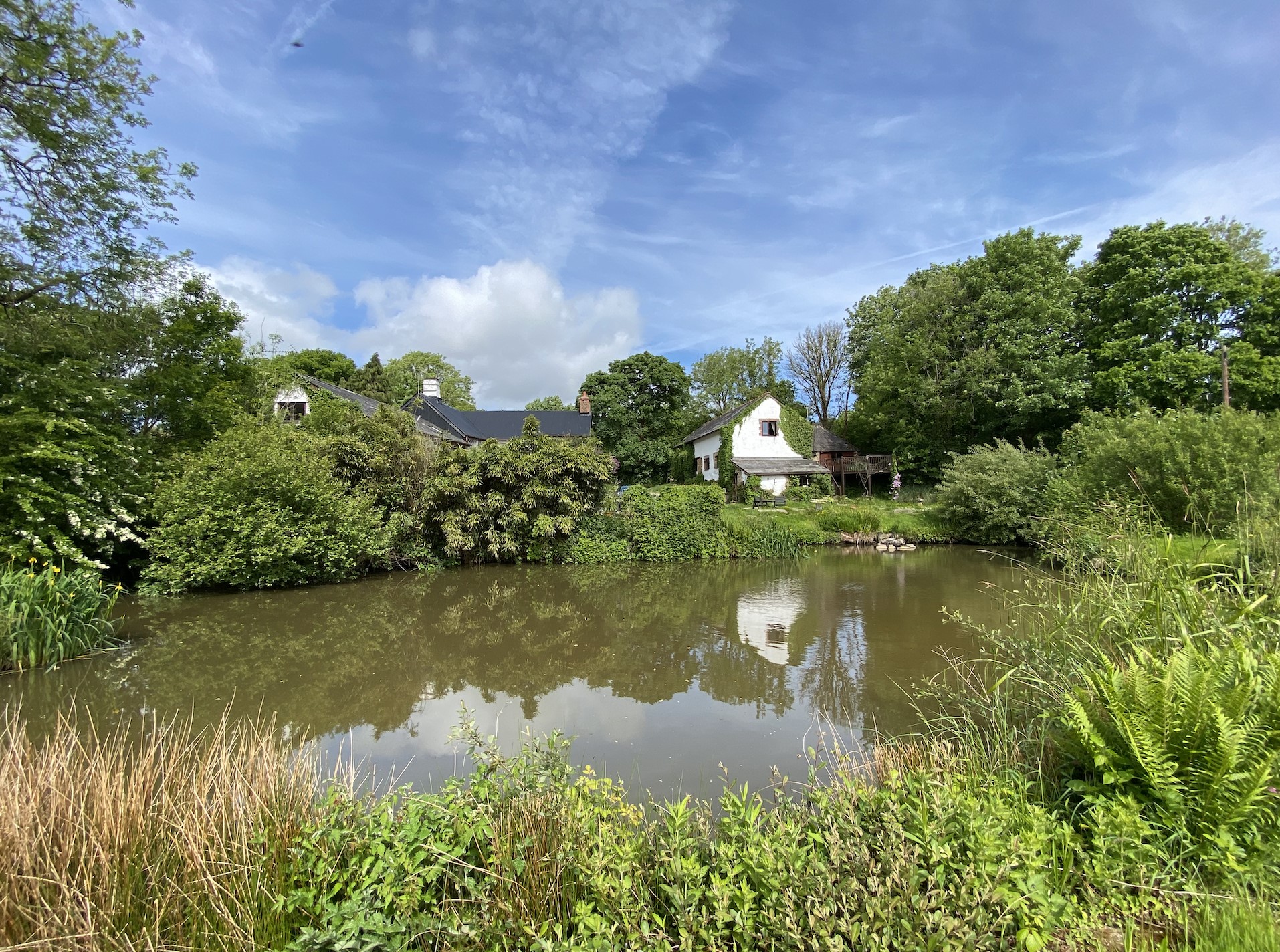 South Reed Farm - Fisheries.co.uk