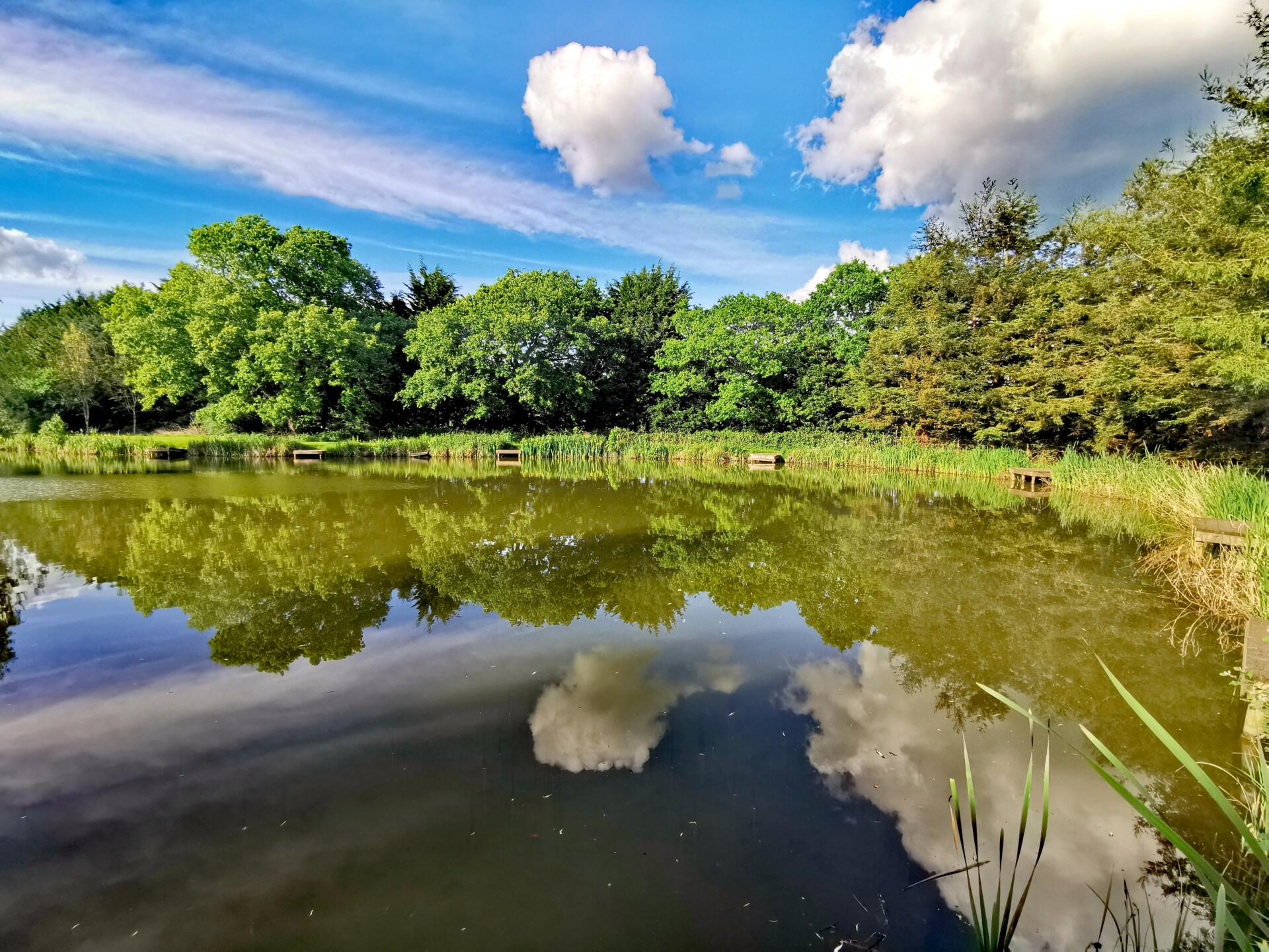 Woodside Fishery and Holiday Lodges - Fisheries.co.uk