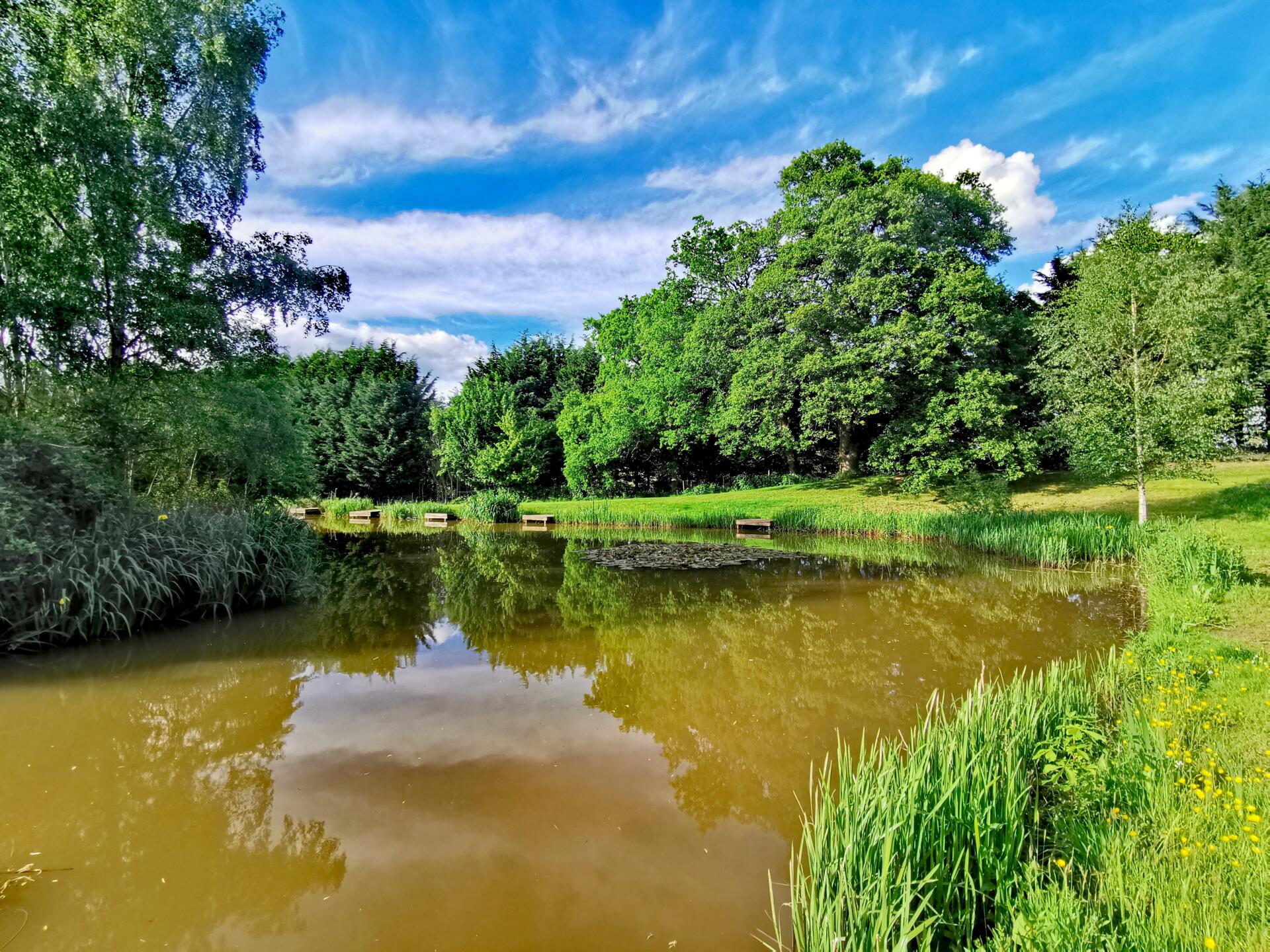 Woodside Fishery and Holiday Lodges - Fisheries.co.uk