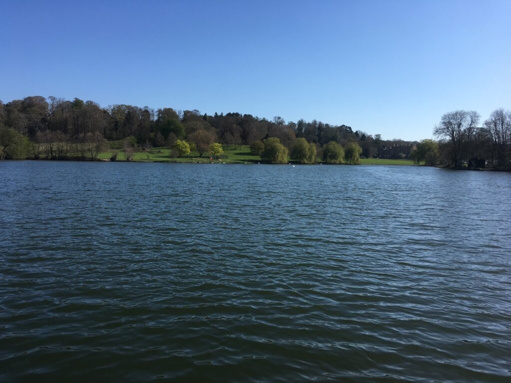 A Beginner’s Guide to fishing the Waggler - Fisheries.co.uk