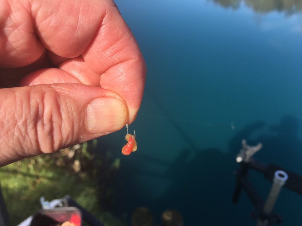 A Beginner’s Guide to fishing the Waggler - Fisheries.co.uk