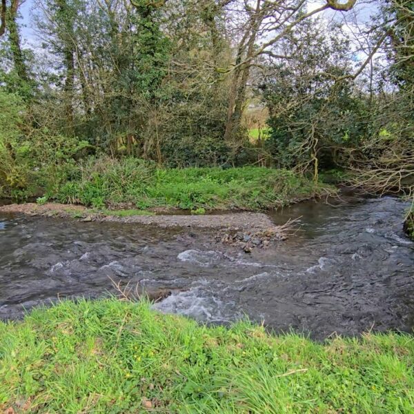 Sprighill Farm with River Lew Frontage - Fisheries.co.uk