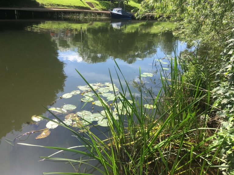 Guide to stick float fishing - Fisheries.co.uk